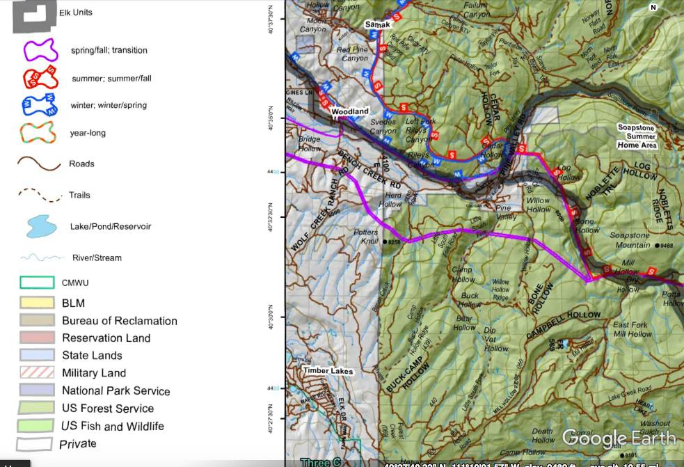 How to Make Colorado Your Next Destination for your Non-Resident Elk ...