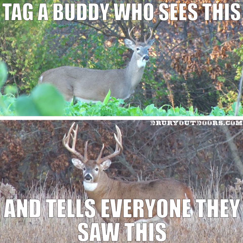 #WhitetailWednesday: 15 Hilarious Deer Hunting Memes That Are All Too ...