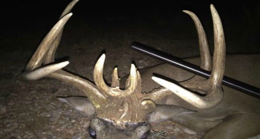 Is This the Most Unique Buck Rack You Have Ever Seen? - Wide Open Spaces