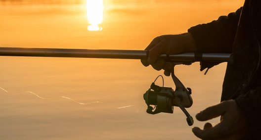 The Facts on IGFA's Florida Forage Fish Research Program - Wide Open Spaces