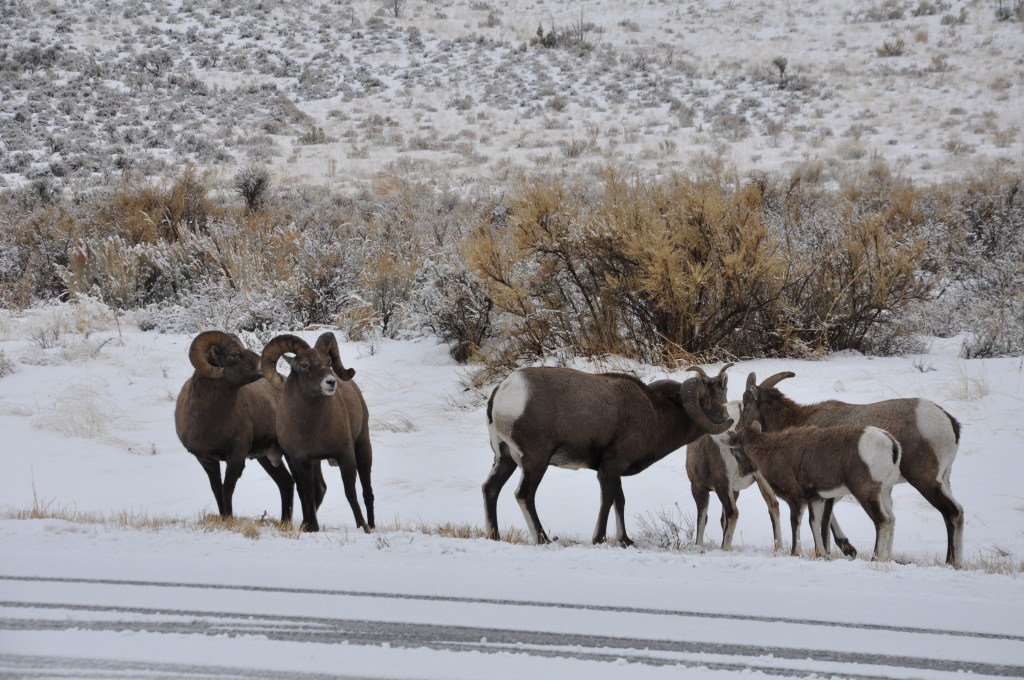 10 Major Poaching Cases That Outraged Hunters Everywhere - Wide Open Spaces