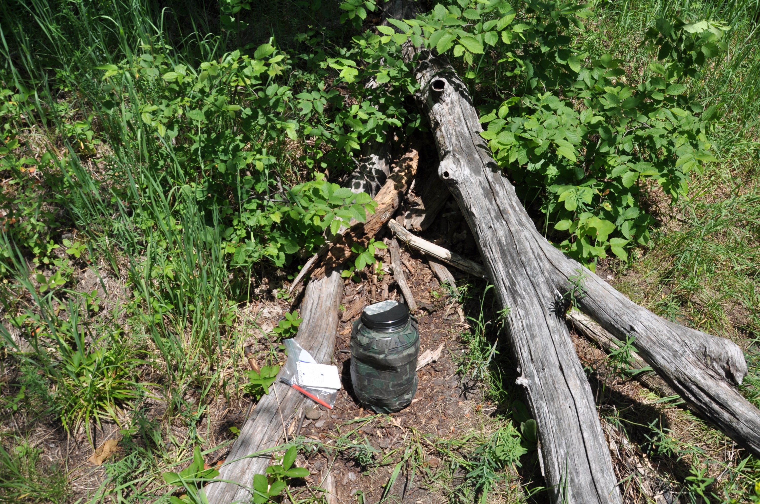 Here's Everything You Need to Know About Geocaching - Wide Open Spaces