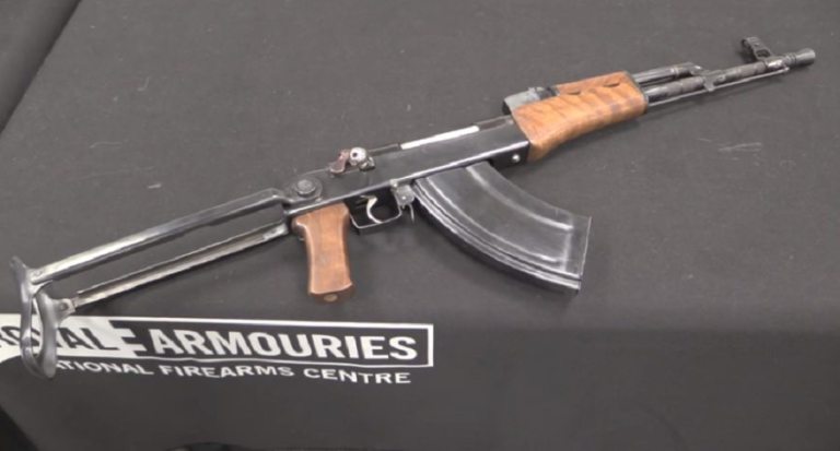 There's a Bolt Action, AK-47 Mutant Rifle? Yep! - Wide Open Spaces