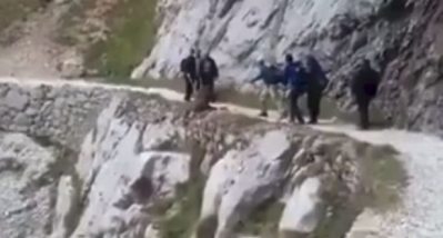 Horrifying Wild Boar Attack Caught on Security Camera - Wide Open Spaces