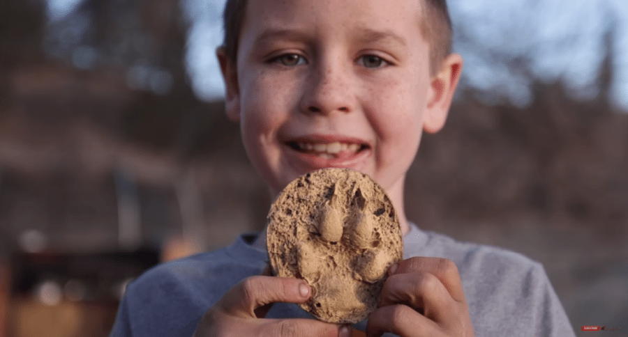 How to Cast Animal Tracks with Kids (or Adults!) - Wide Open Spaces
