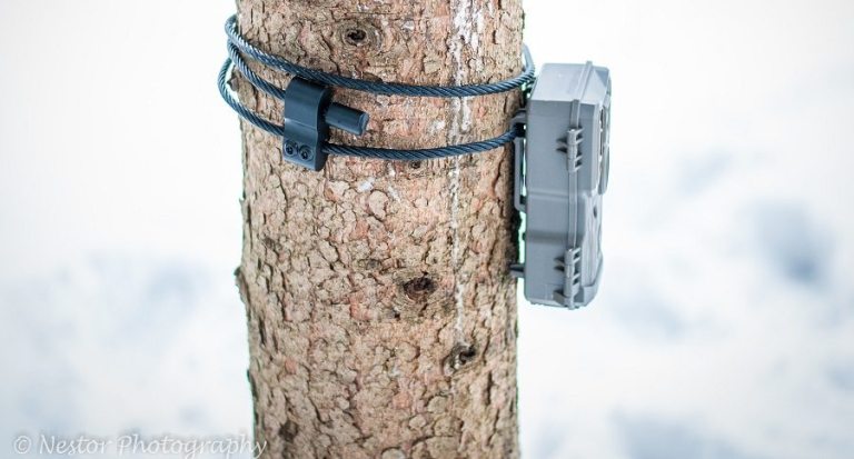 Covert Scouting Camera Review: The Ice Cam - Wide Open Spaces