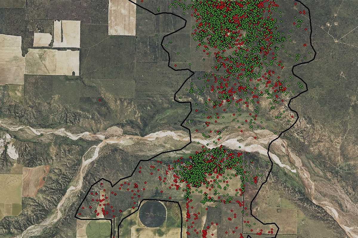 Map Shows Texas Mule Deer Movement Over a Two-Year Period - Wide Open ...