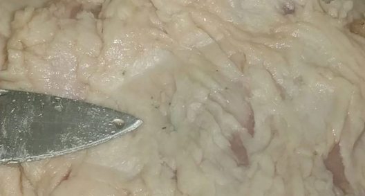 Officials Warn That Feral Hog Meat in Texas is Infected with Tapeworm ...