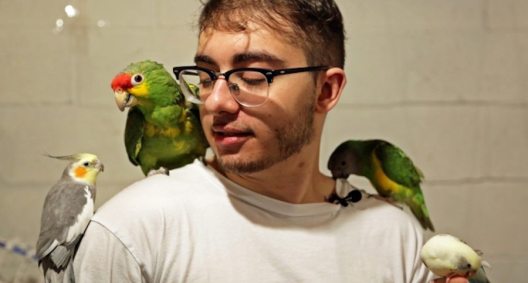 Meet Hani Hallal, aka the 'Parrot Whisperer'