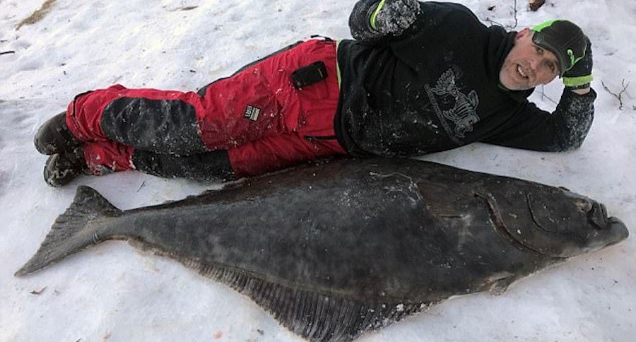 Norway Angler Lands Largest Halibut Ever Caught from Shore - Wide Open ...