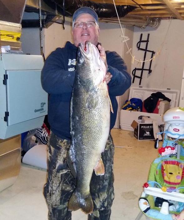 Monster 18.5-Pound Walleye Pulled Through the Ice in Ontario - Wide ...