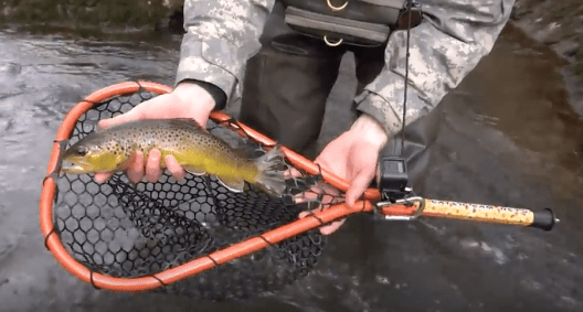 Catch Cam Nets is Now Live on Kickstarter - Wide Open Spaces