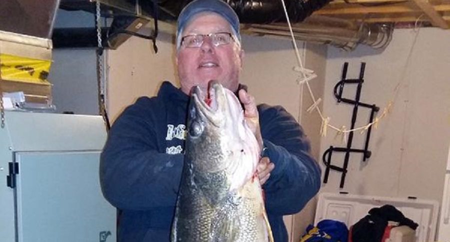 Monster 18.5-Pound Walleye Pulled Through the Ice in Ontario - Wide ...