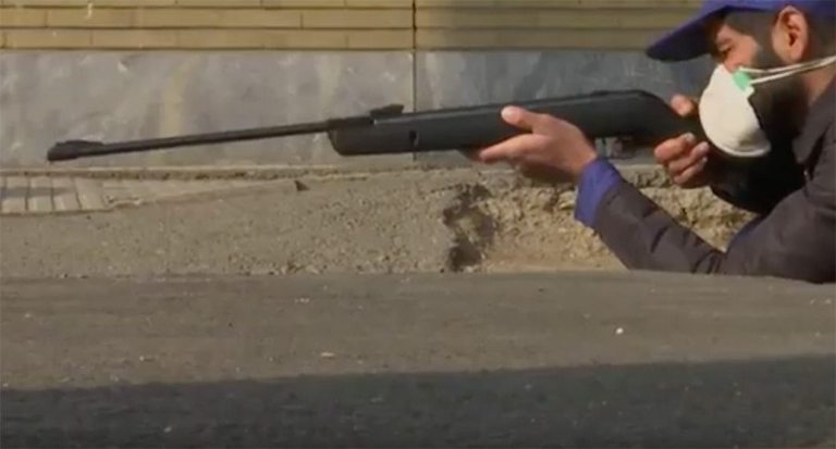 Iran's Rat Problem Now Has Air Support - Wide Open Spaces