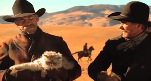 Cowboys Tell Us How Hard it Actually Is to Herd Cats