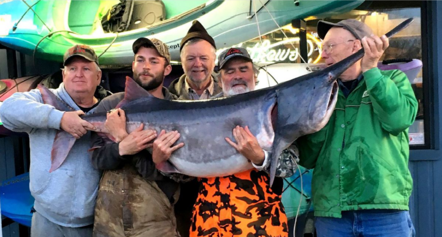 Massive Paddlefish is New Oklahoma Rod and Reel Lake Record - Wide Open ...