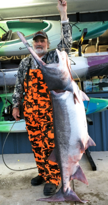 Massive Paddlefish is New Oklahoma Rod and Reel Lake Record - Wide Open ...