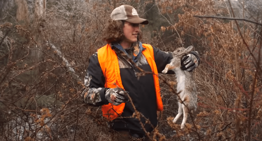 Rabbit Hunting: Kicking the Thick Brush for Bunnies - Wide Open Spaces