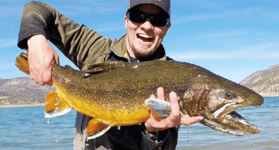 Utah Angler Catches New State-Record Splake - Wide Open Spaces