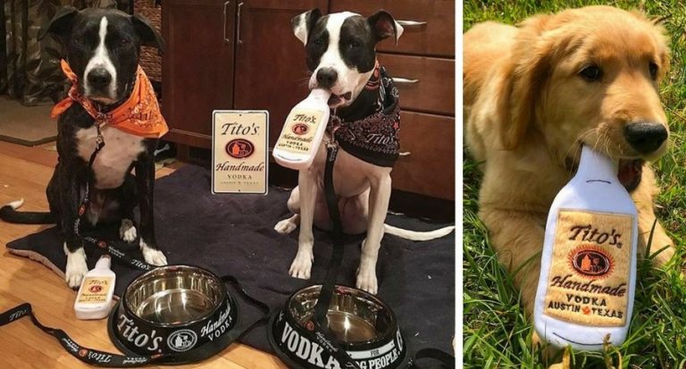 New Tito's Vodka Dog Toy Helps Raise Money for Homeless Pets