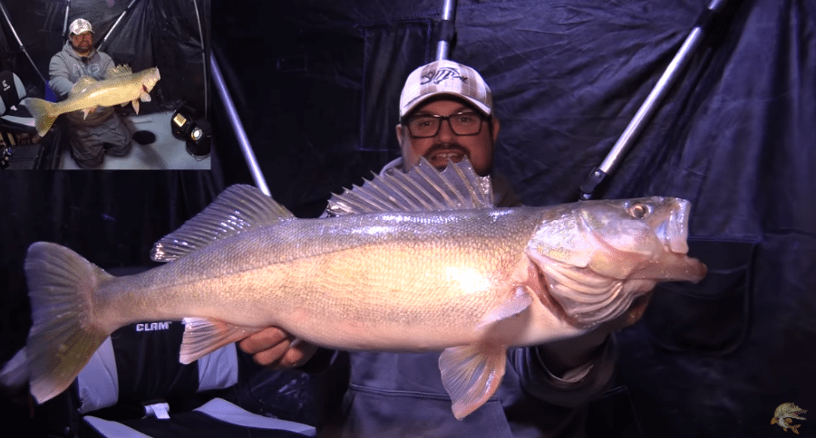 First Ice Walleye Fishing Nets an Absolute Beast - Wide Open Spaces