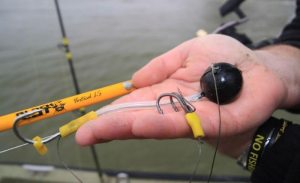 Angler Catches Absolute Monster Catfish Weighing Nearly 300 Pounds ...