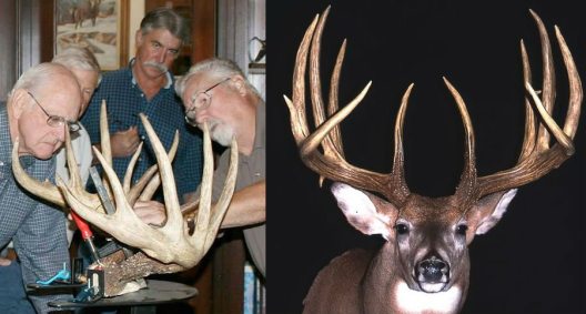 #WhitetailWednesday: 4 Bucks That Controversially Missed Being World ...