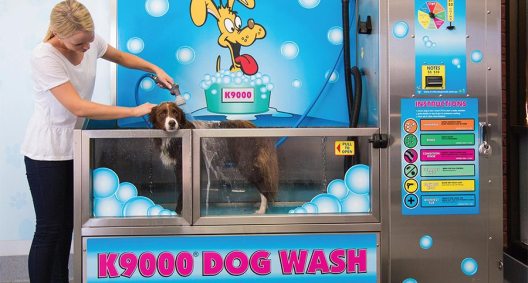 DIY Coin-Operated Dog Wash Stations Make Their Debut in the U.S.