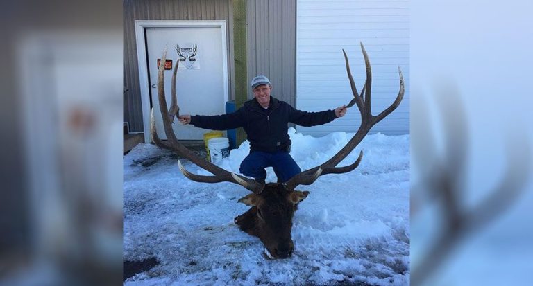 Wyoming Loses a Legend: Brutus the Larger Than Life Monster Bull Elk ...