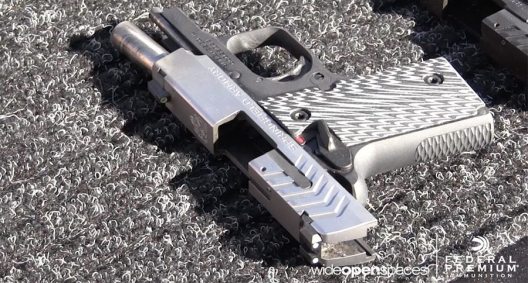 Springfield Armory Cuts Ties with Dick's Sporting Goods - Wide Open Spaces