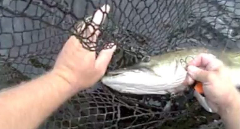 This Woman's Fish Hook Body Modifications Are Absolutely Unreal - Wide ...