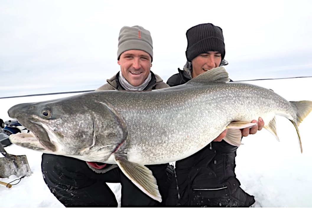 Big Manitoba Lake Trout Barely Fits Through the Hole in the Ice - Wide ...
