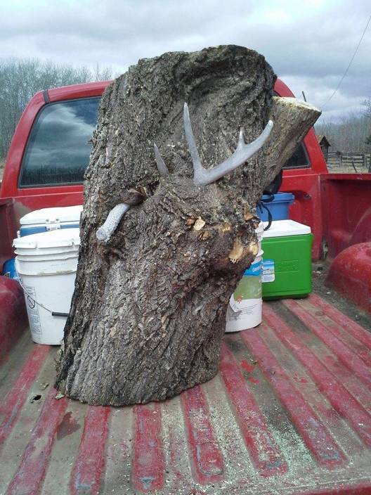 8 Incredibly Strange Places People Have Found Shed Antlers - Wide Open ...