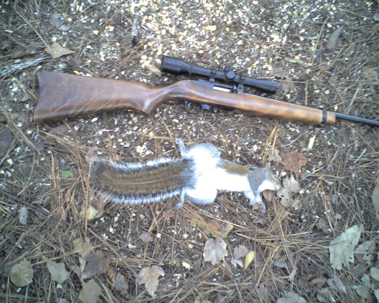 Sunday Gunday: 7 Reasons Why We Love the .22 Long Rifle Cartridge ...