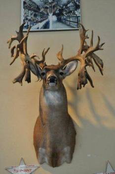 #WhitetailWednesday: 8 of the Coolest Drop-Tine Bucks Ever - Wide Open ...