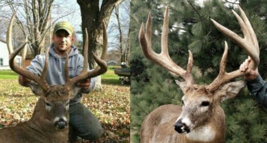 #WhitetailWednesday: Feast Your Eyes on 5 of the Biggest 8-Point Bucks ...