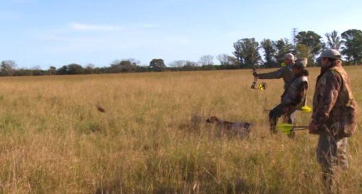 Bowhunting Fast Game Birds in Slow Motion is Absolutely Jaw Dropping ...