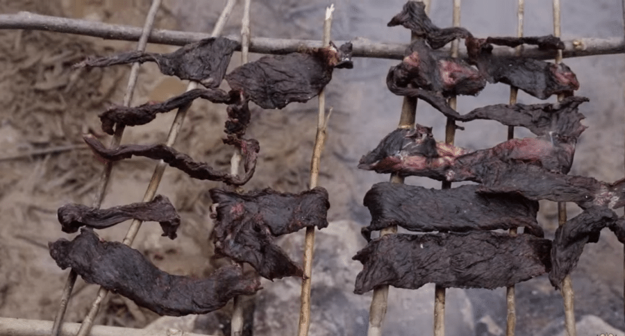 Smoking Buffalo Meat Just Like the Early Frontiersmen - Wide Open Spaces