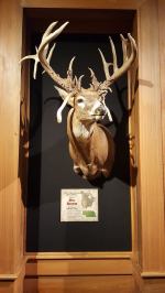 #WhitetailWednesday: 8 of the Coolest Drop-Tine Bucks Ever - Wide Open ...