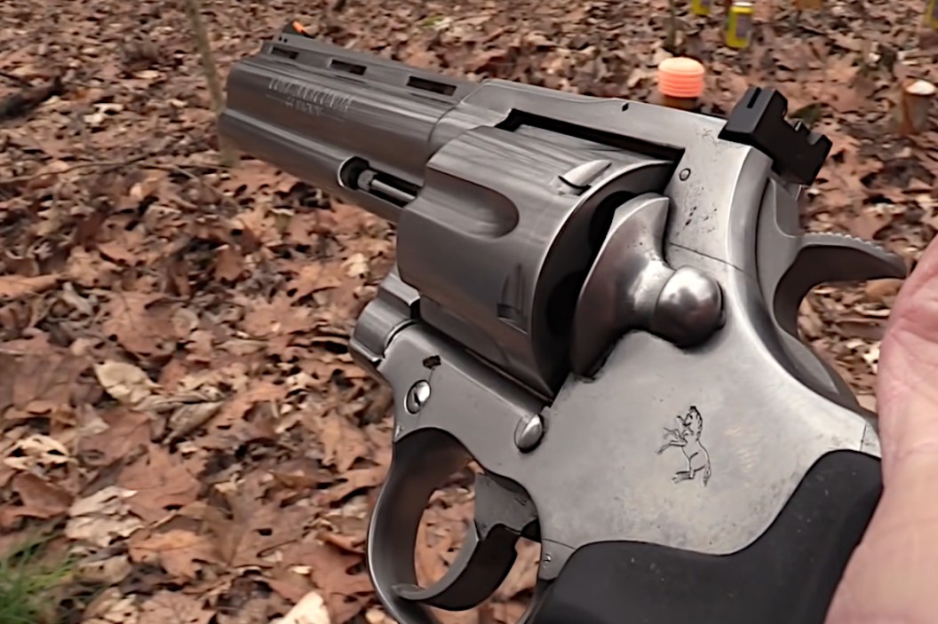 4 Perfect .22 Handguns for a Walk in the Woods - Wide Open Spaces