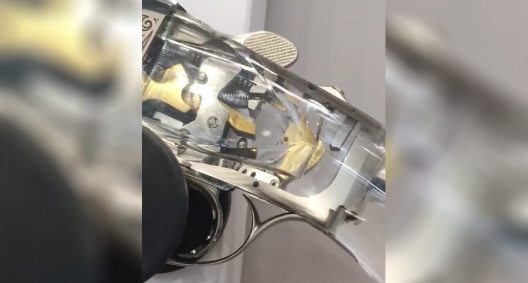 Have You Ever Seen a Shotgun with a Transparent Stock? - Wide Open Spaces