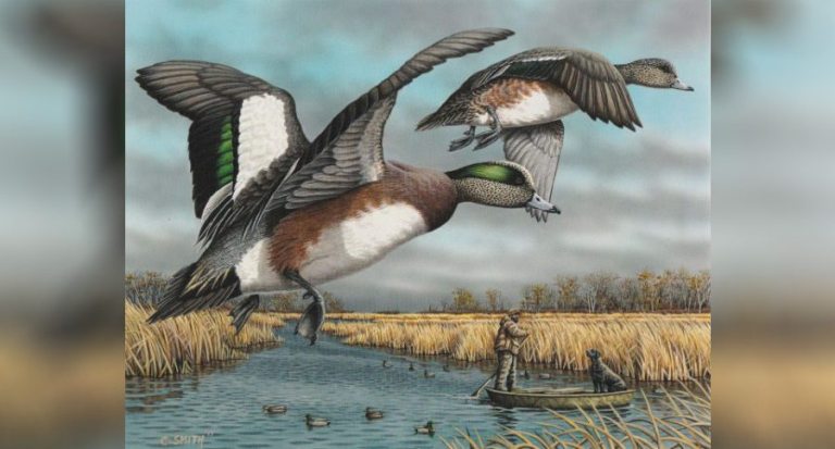 Special Edition Duck Stamp Honors Michigan's Pro-Conservation Governor ...