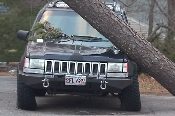 Jeep Grand Cherokee Saves Family's Home From Falling Tree