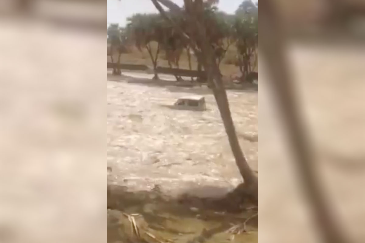 Flash Flood Makes This Pile of Logs Look Like It's Alive - Wide Open Spaces
