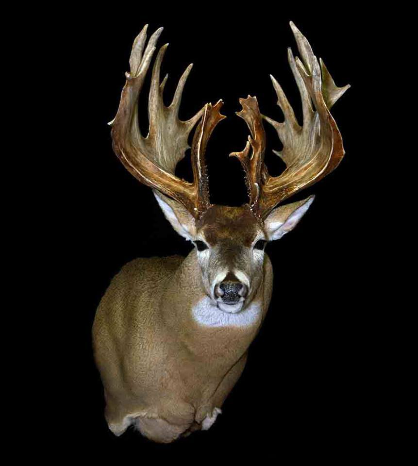 #WhitetailWednesday: 10 World-Class Bucks with Jaw-Dropping Mass - Wide ...