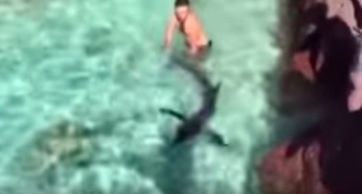 So What Do You Do with a Marlin After You Grab It By the Tail? - Wide ...