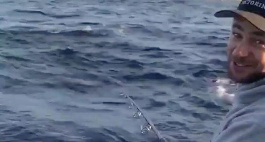 Video: Insane Boat-Side Tuna Strike Shows How Strong They Are - Wide ...