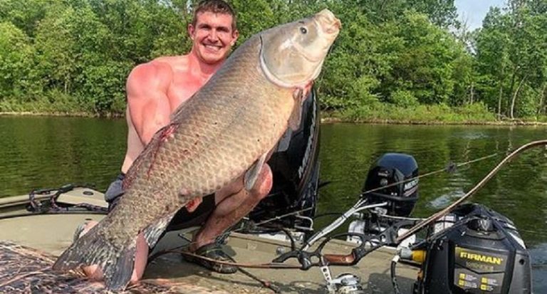 Video: Here's the Pending Ohio Bowfishing Buffalo State Record - Wide ...