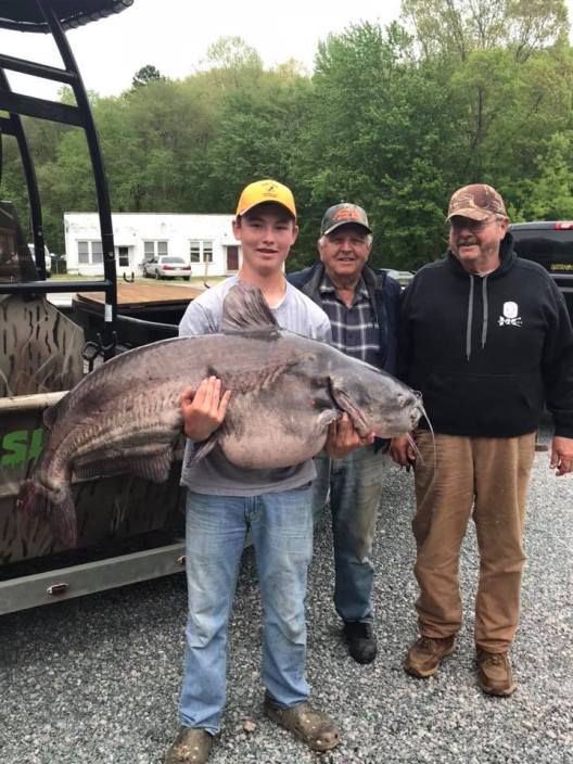 Virginia Angler Catches and Releases 102-Pound Blue Catfish - Wide Open ...