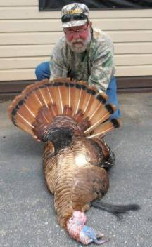 Pics: Check Out These Cool Cinnamon Color-Phase Turkeys - Wide Open Spaces